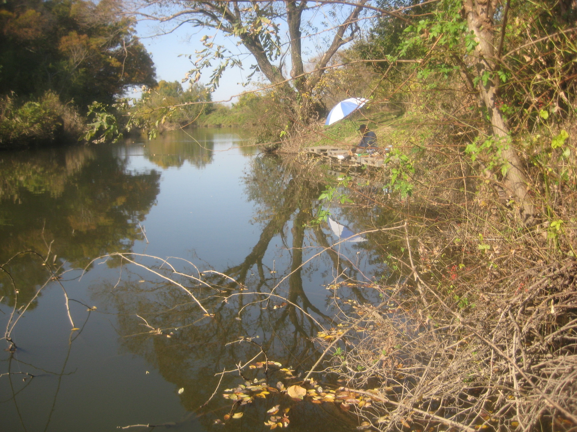 11月19日夜勤明け仕事終わりに、川田谷飛行場沼へいく。ジャミのみFNF！: へらぶな日記
