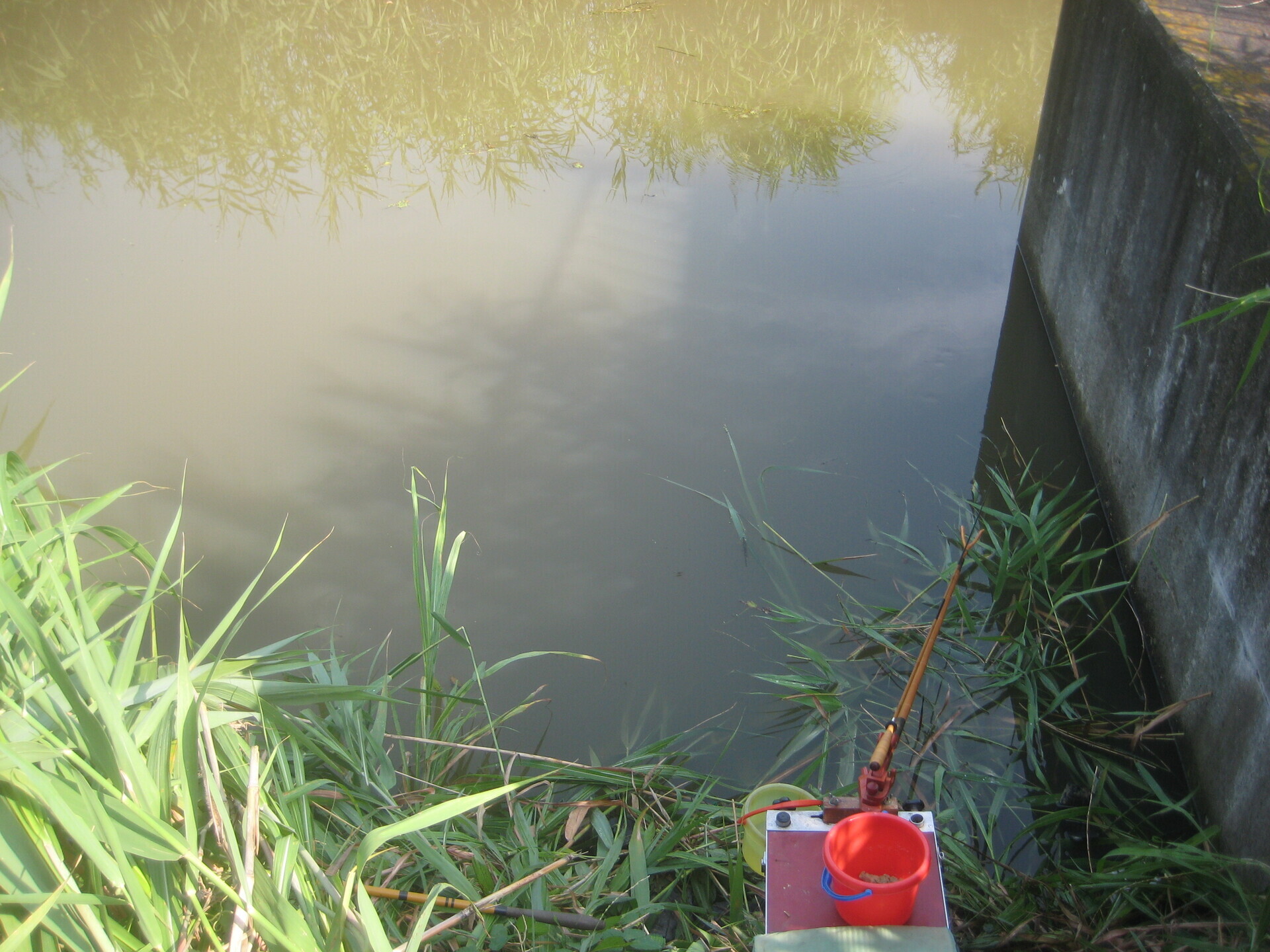 7月6日ワンパク爺の当たって砕けろ～～～栢山落としで33センチ: へらぶな日記
